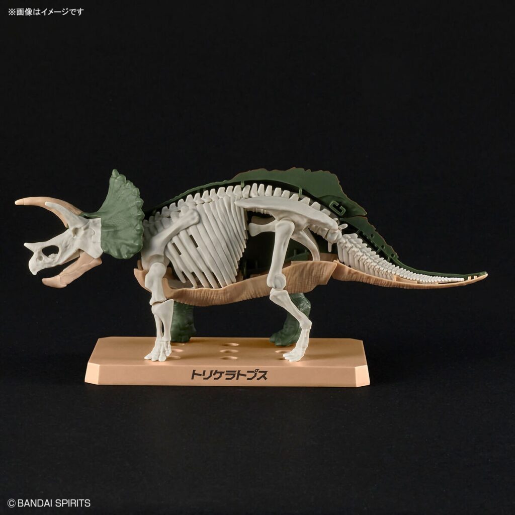 Planosaurus Triceratops (Tentative Name) - NZ Gundam Store